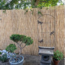 Backyard X-Scapes 6 ft. H x 16 ft. W Natural Jumbo Reed Fence ...