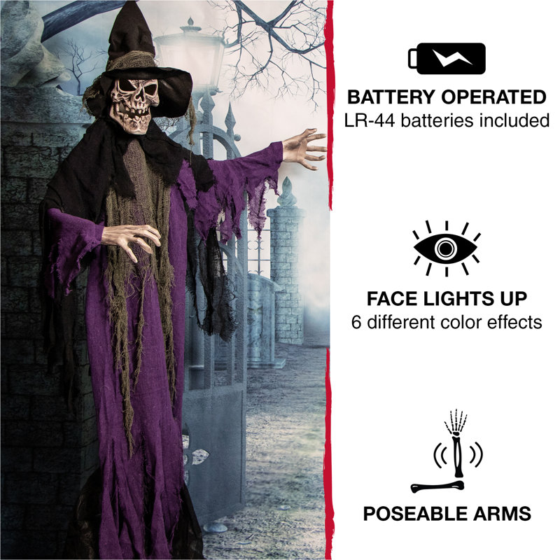 The Holiday Aisle® Skeleton Witch Prop with 6-Function Light Figurine ...