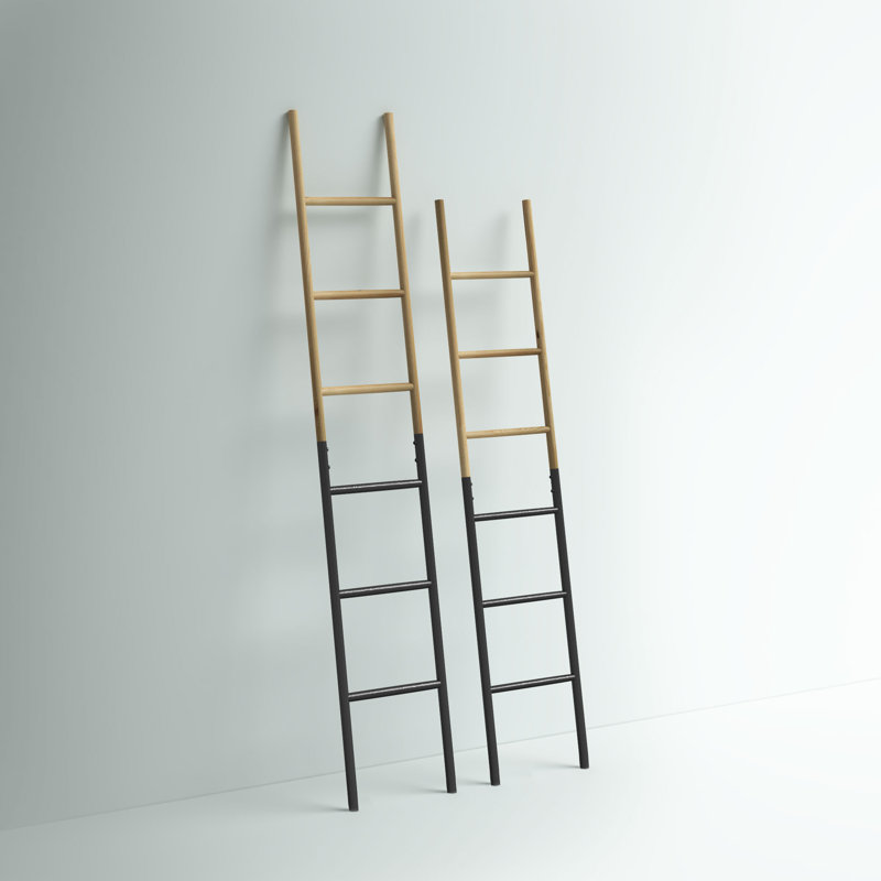 Ivy Bronx Wood Slim Two-Toned 12 Rug Brown Ladder with Black Metal ...