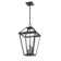 Lark Manor Swerve 3 - Light Outdoor Hanging Lantern & Reviews | Wayfair