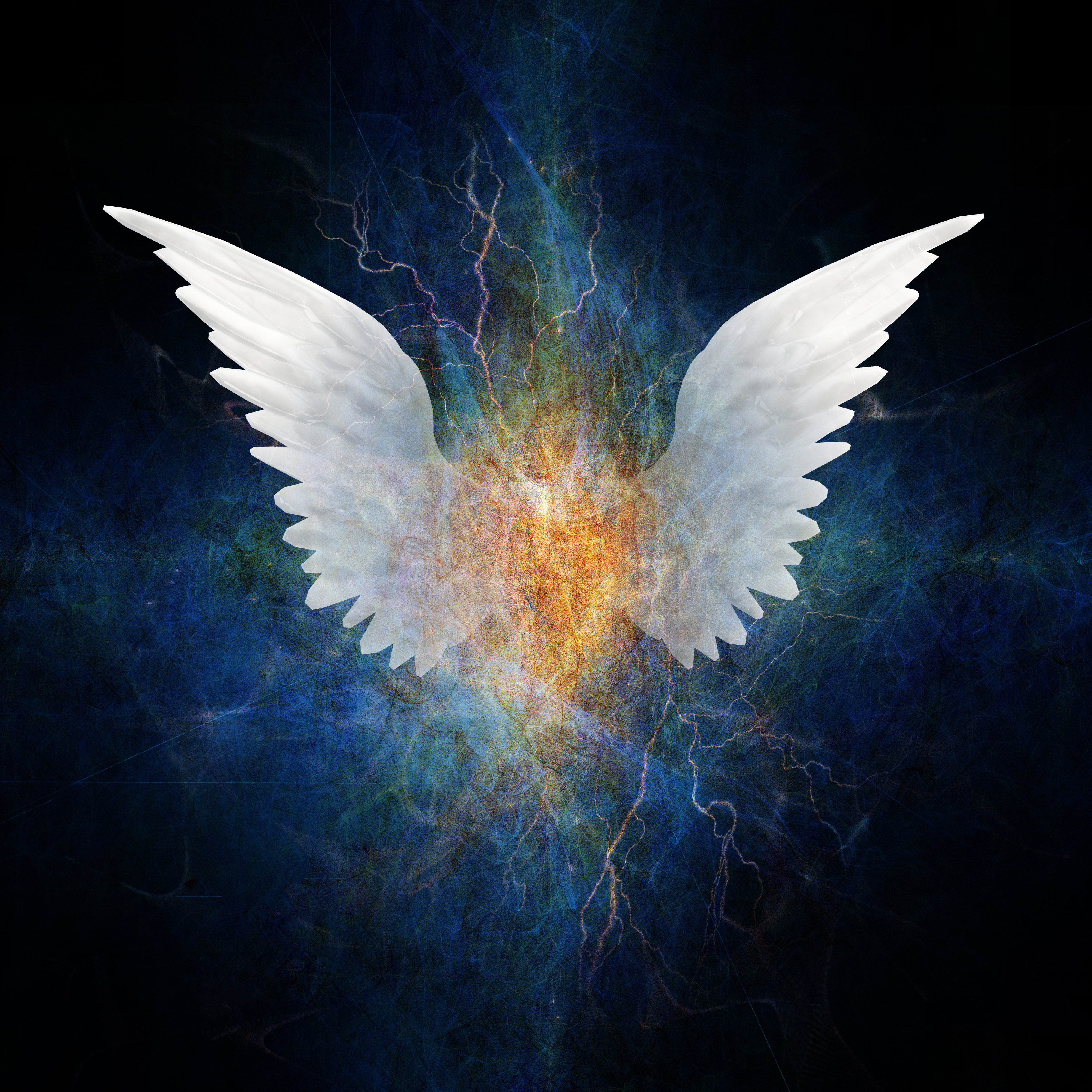 Trinx Adyson Beautiful Wing Design On Canvas by Bestdesigns Graphic Art ...