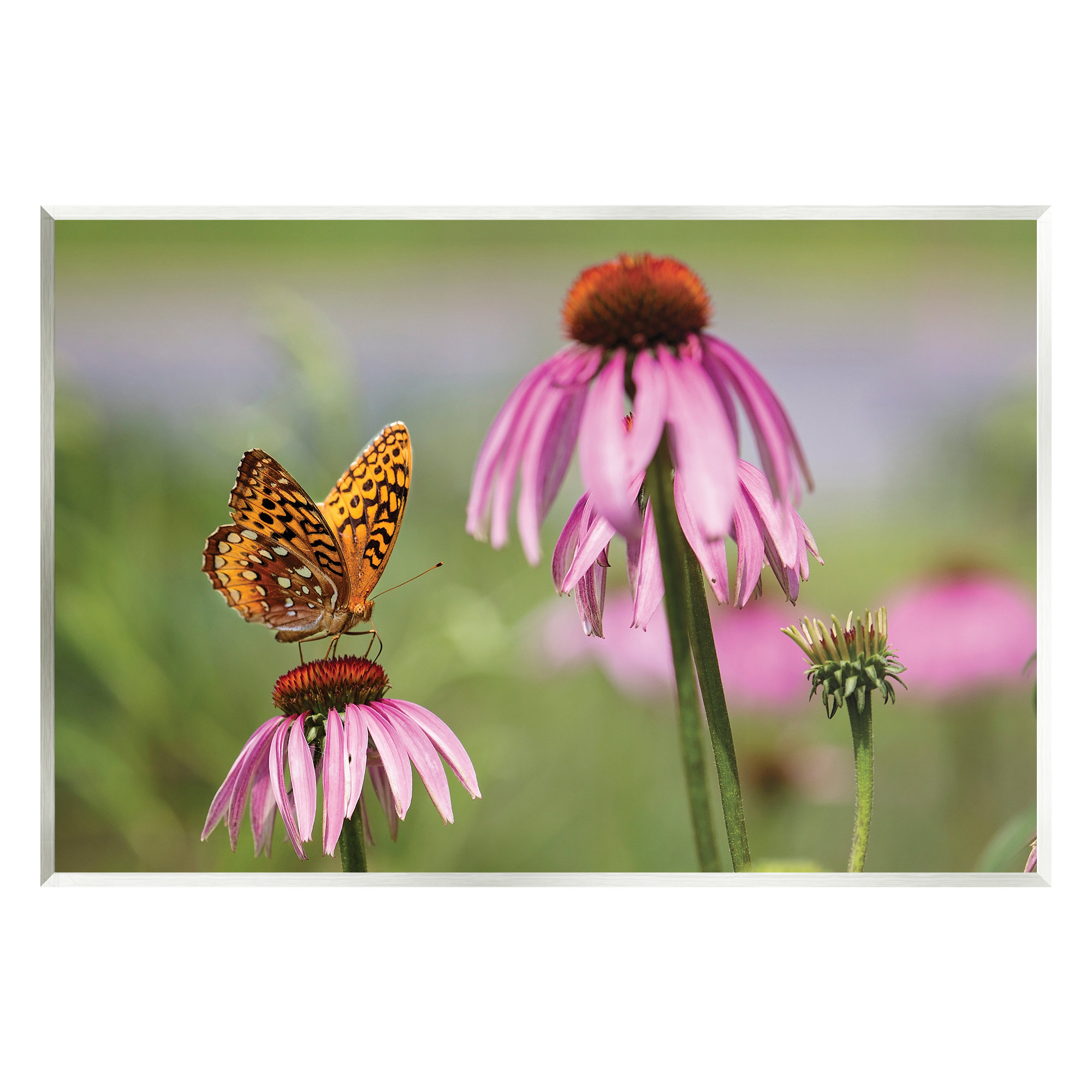 Stupell Industries Butterfly On Purple Flower Wall Plaque Art Design By ...