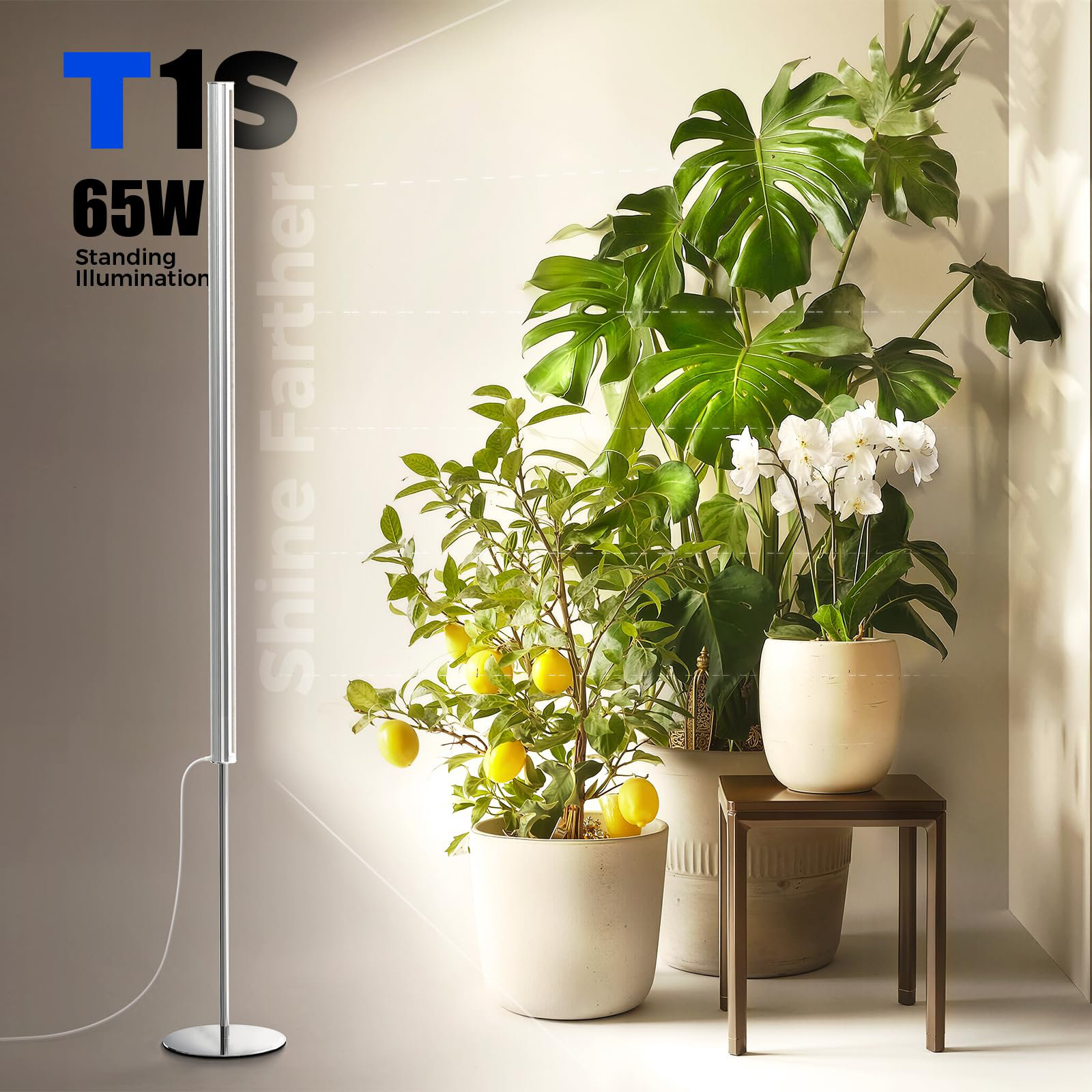 NINGBOJUSEN Standing Grow Light For Indoor Plants With Timer - Wayfair ...