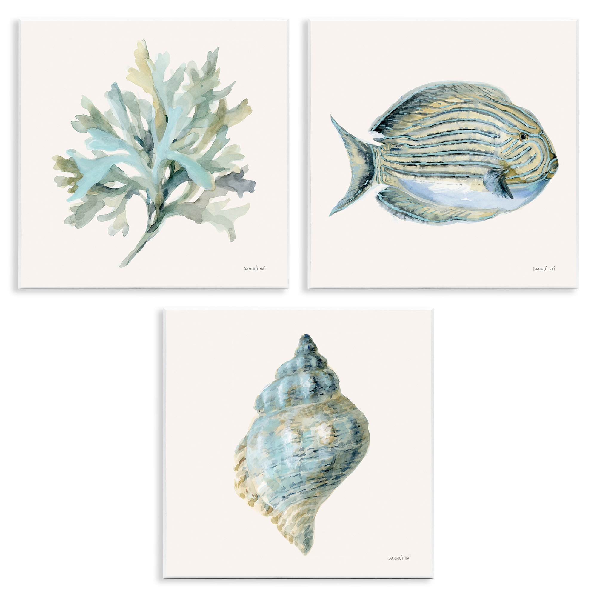 Highland Dunes Coastal Bliss Sea Life 3pc Wall Plaque Set, design by ...