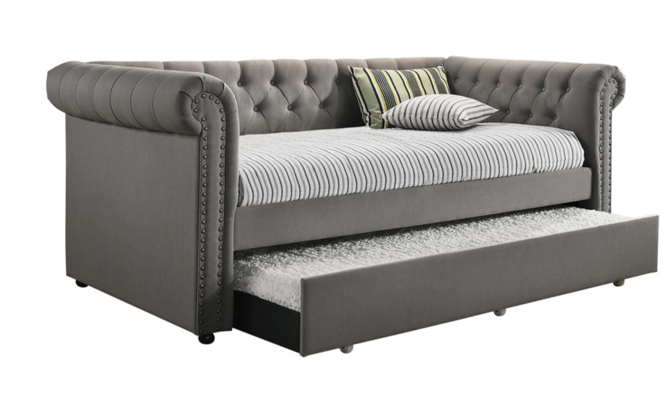 Lark Manor™ Aspacio Twin Daybed with Trundle | Wayfair