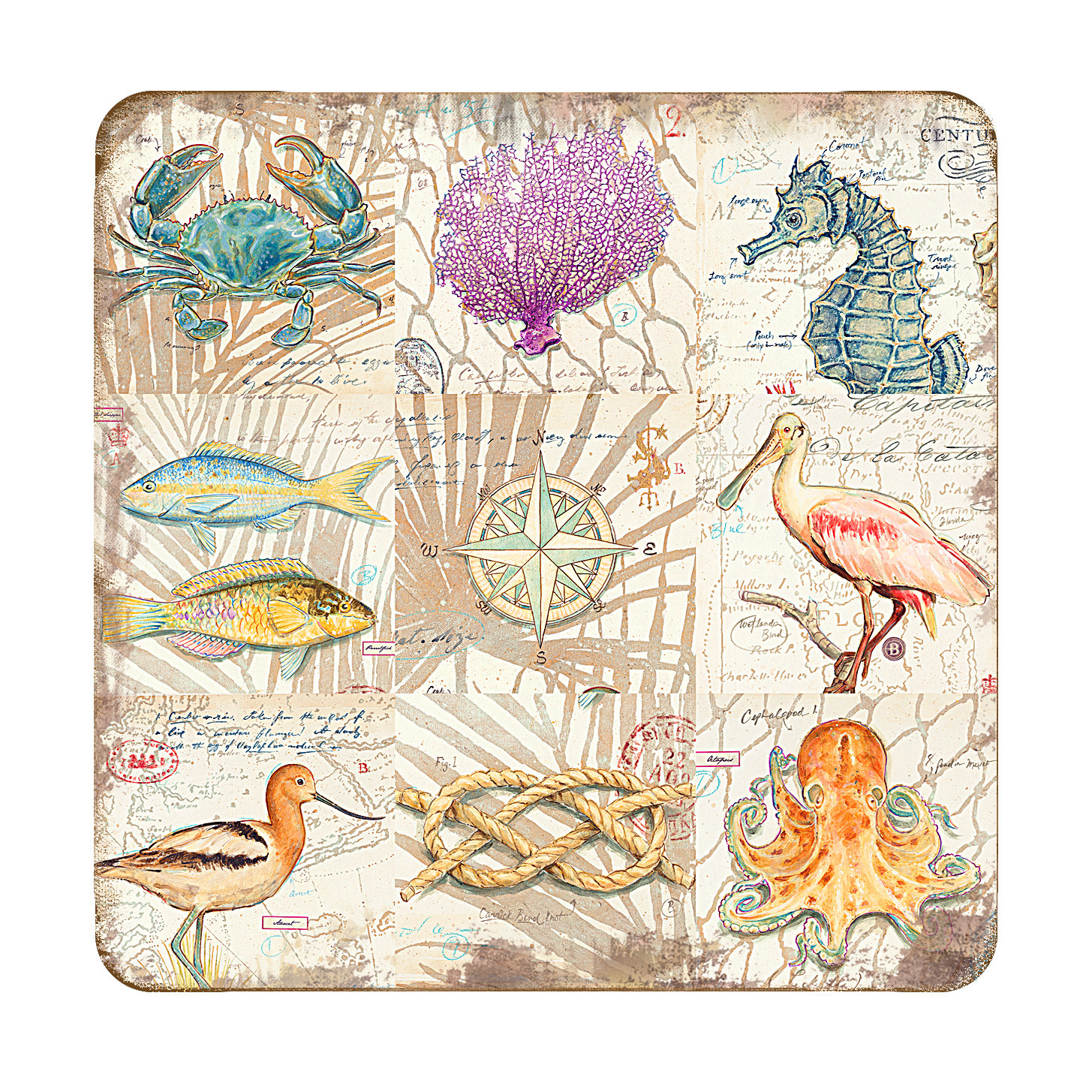 Longshore Tides Beach Designs Coastal Coaster | Wayfair