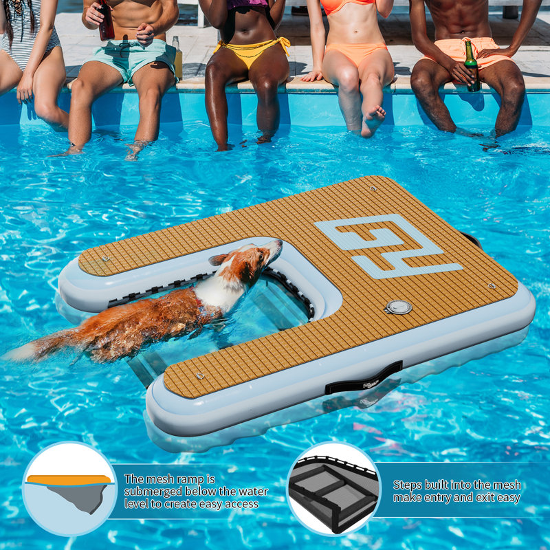 CREWYN Dog Pool Toy & Inflatables | Wayfair