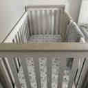 Delta Children Miles 4-in-1 Convertible Crib & Reviews | Wayfair