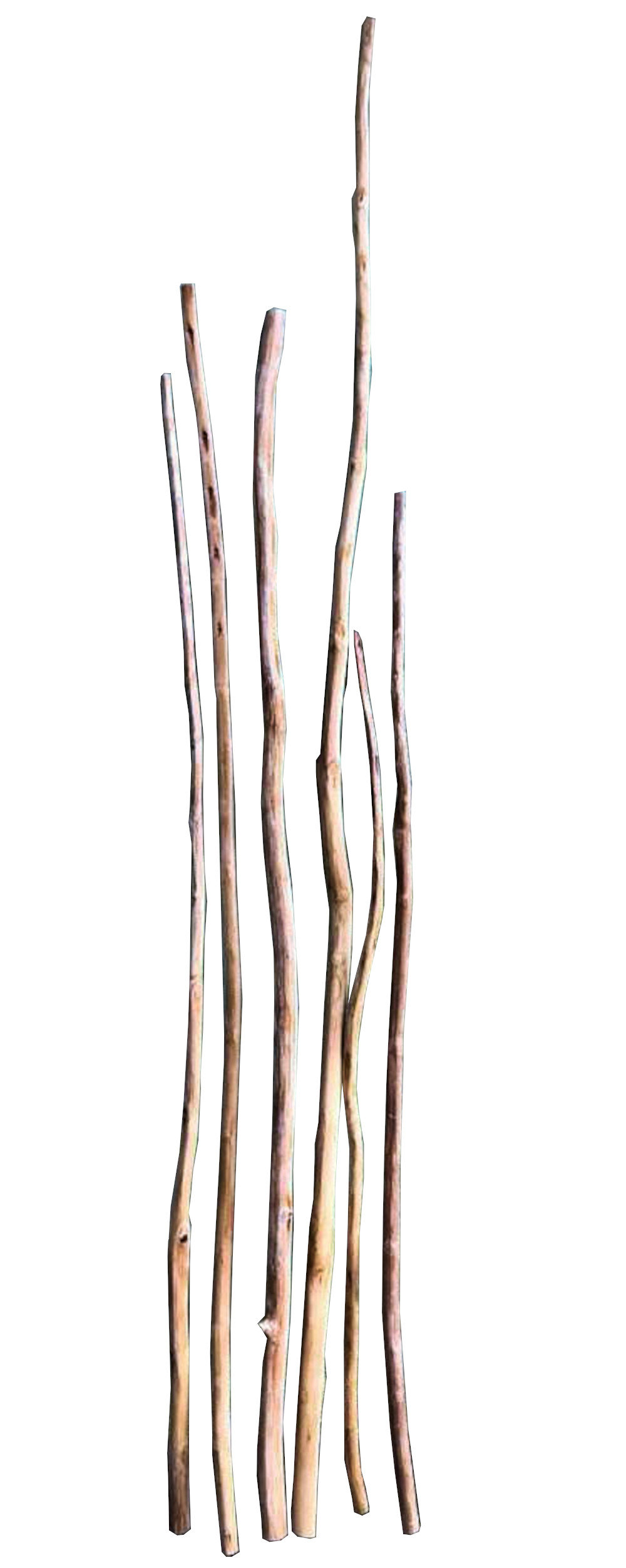 MGP Lightly Curved Wood Pole | Wayfair