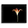 Ebern Designs X-Ray Orange - Single Picture Frame Graphic Art on Canvas ...