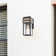 Trent Austin Design® Aliya Wall Light | Wayfair