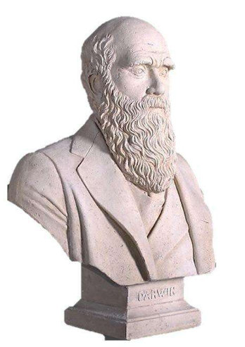 Bloomsbury Market Annahbella Darwin Stone Bust Life Size | Wayfair