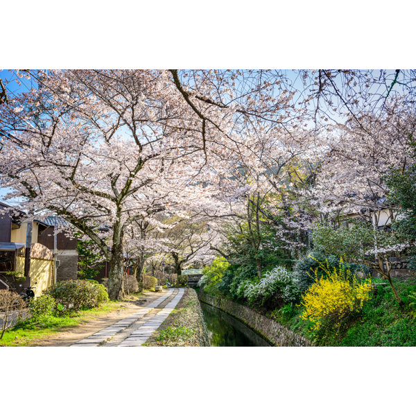 17 Stories Philospher's Path by SeanPavonePhoto - Wrapped Canvas ...