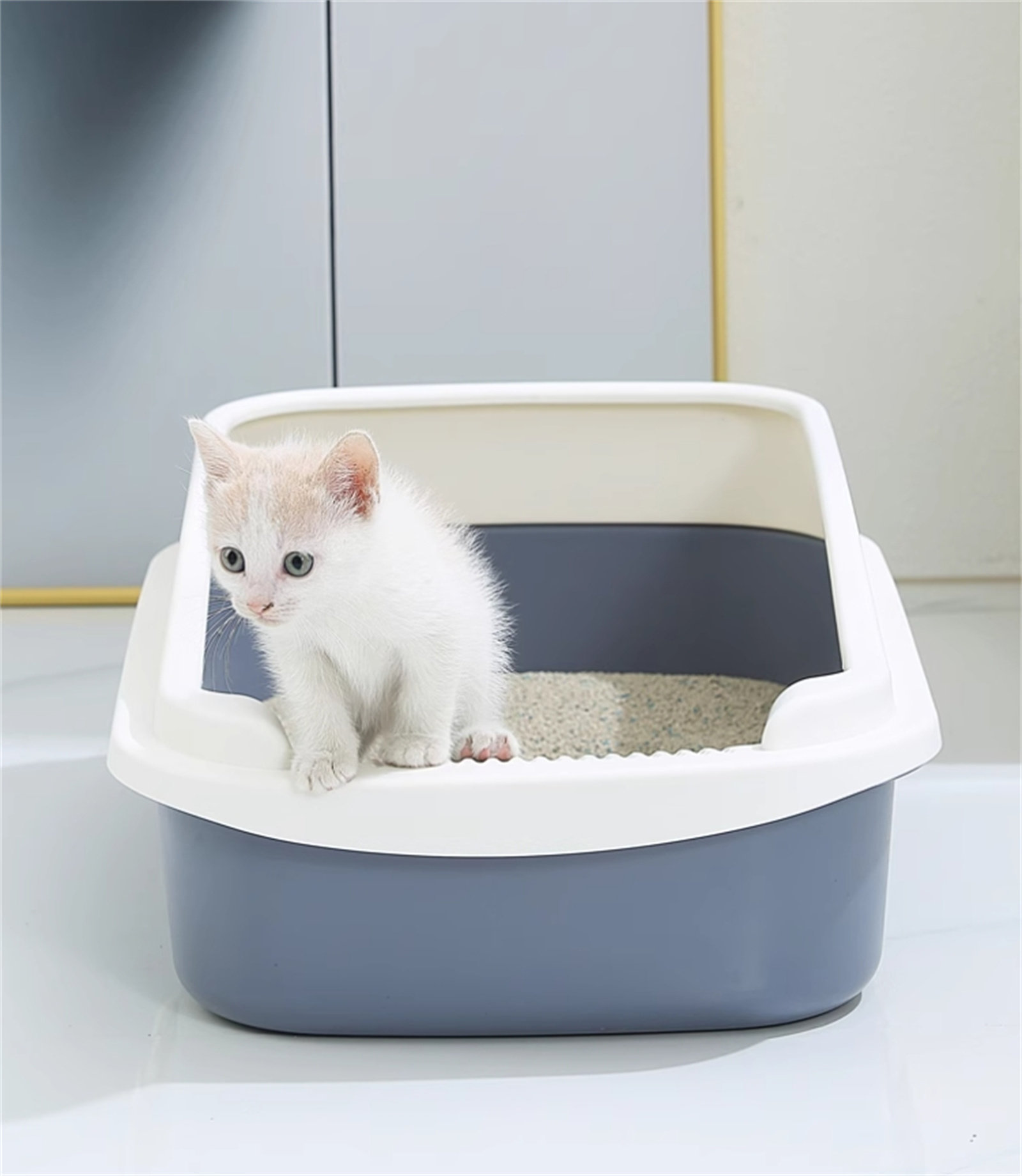 Archie & Oscar™ PP material cat litter basin - Wayfair Canada