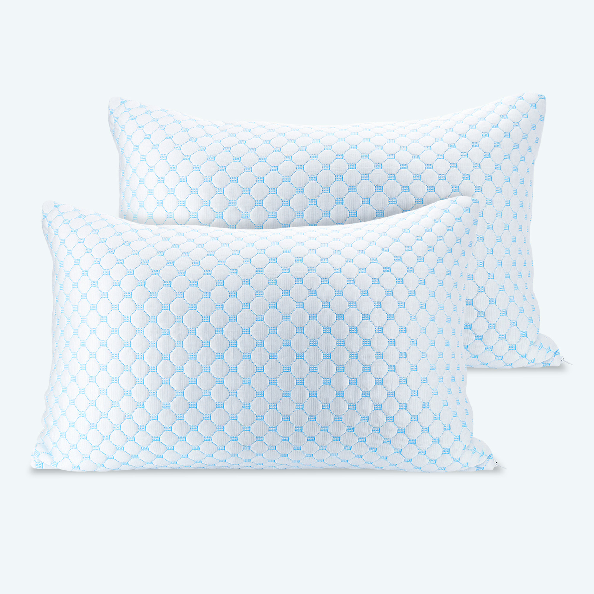 Spinal Solution Gel Memory Form Pillow | Wayfair