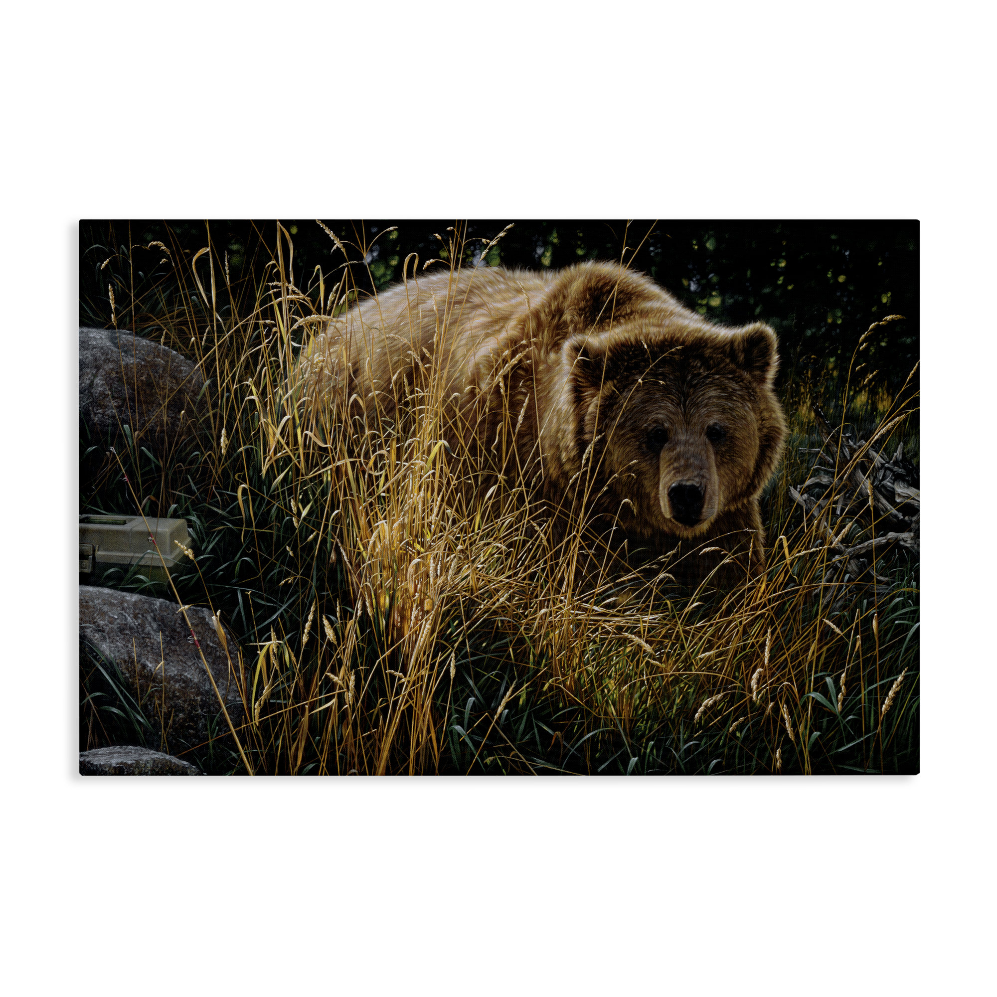 Union Rustic «Crossing Paths Grizzly Bear Canvas», conception par ...