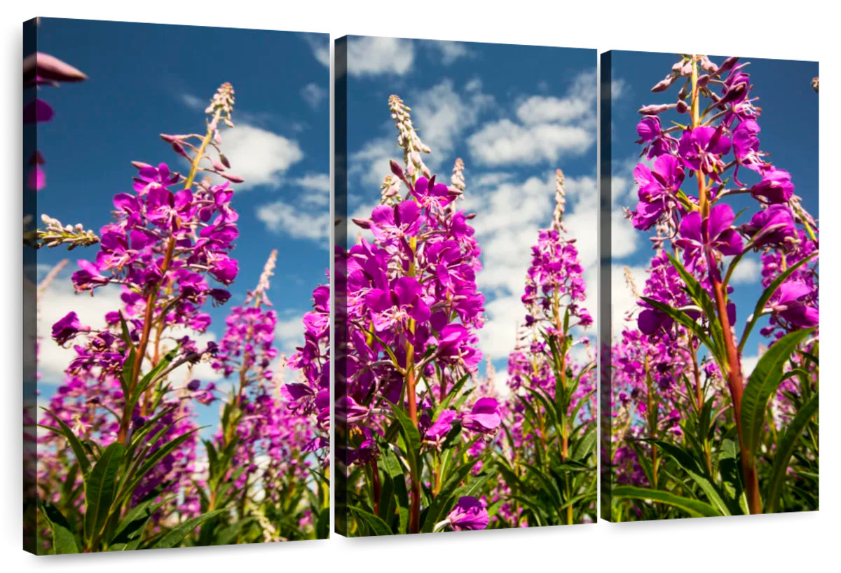 Hokku Designs Fireweed Blooms | Wayfair