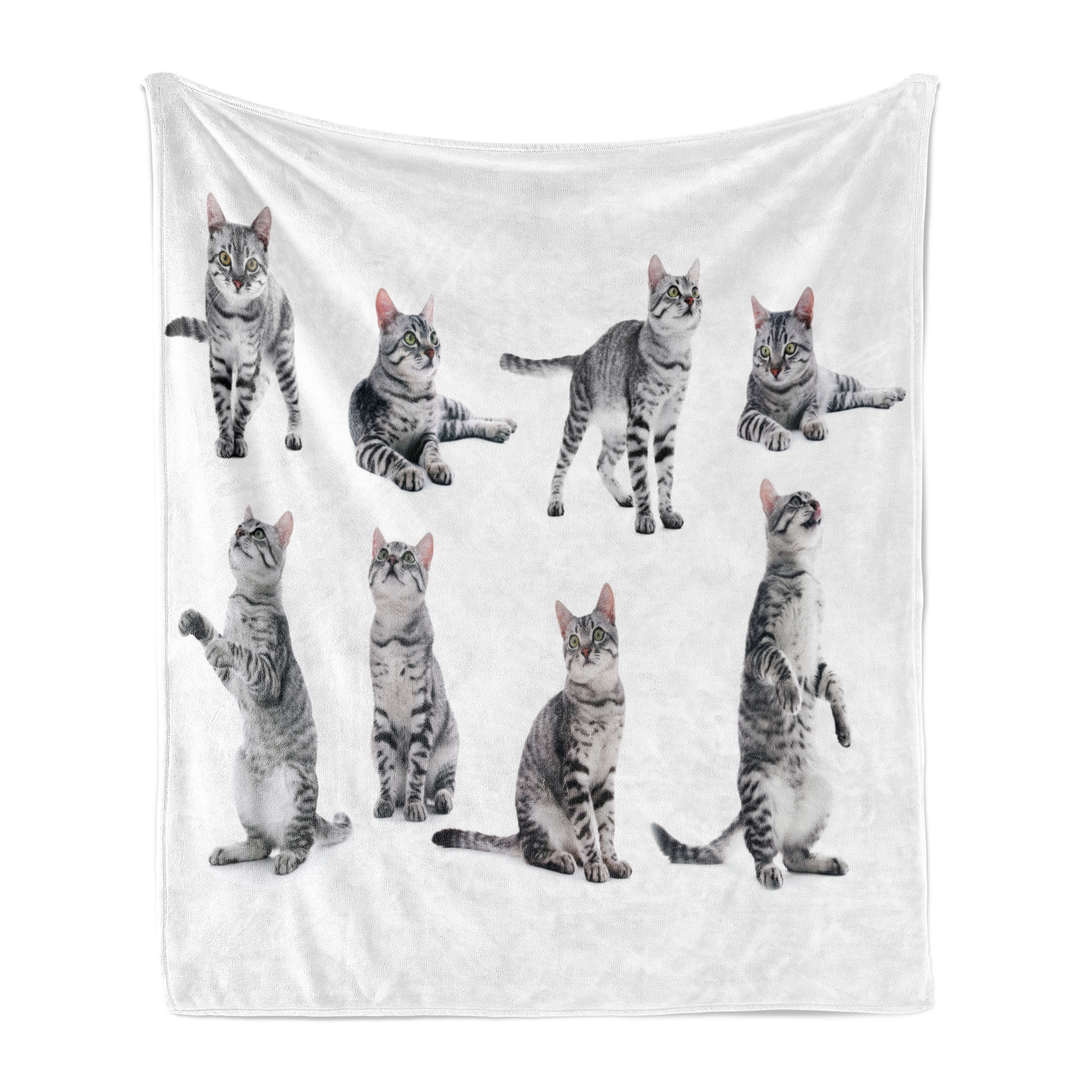 Ambesonne Cat Fleece Throw Blanket Photos of a Tabby Kitten Print White ...