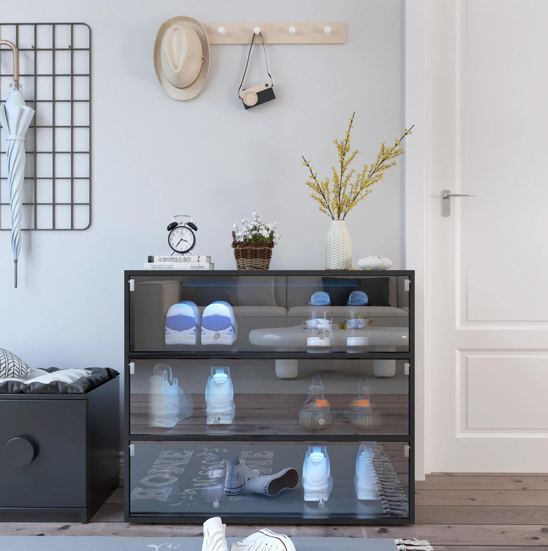 Brayden Studio Black Glass - Doored Shoe Box - Style Shoe Storage ...