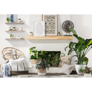 A&B Home Space Dyed Fringed Throw & Reviews | Wayfair