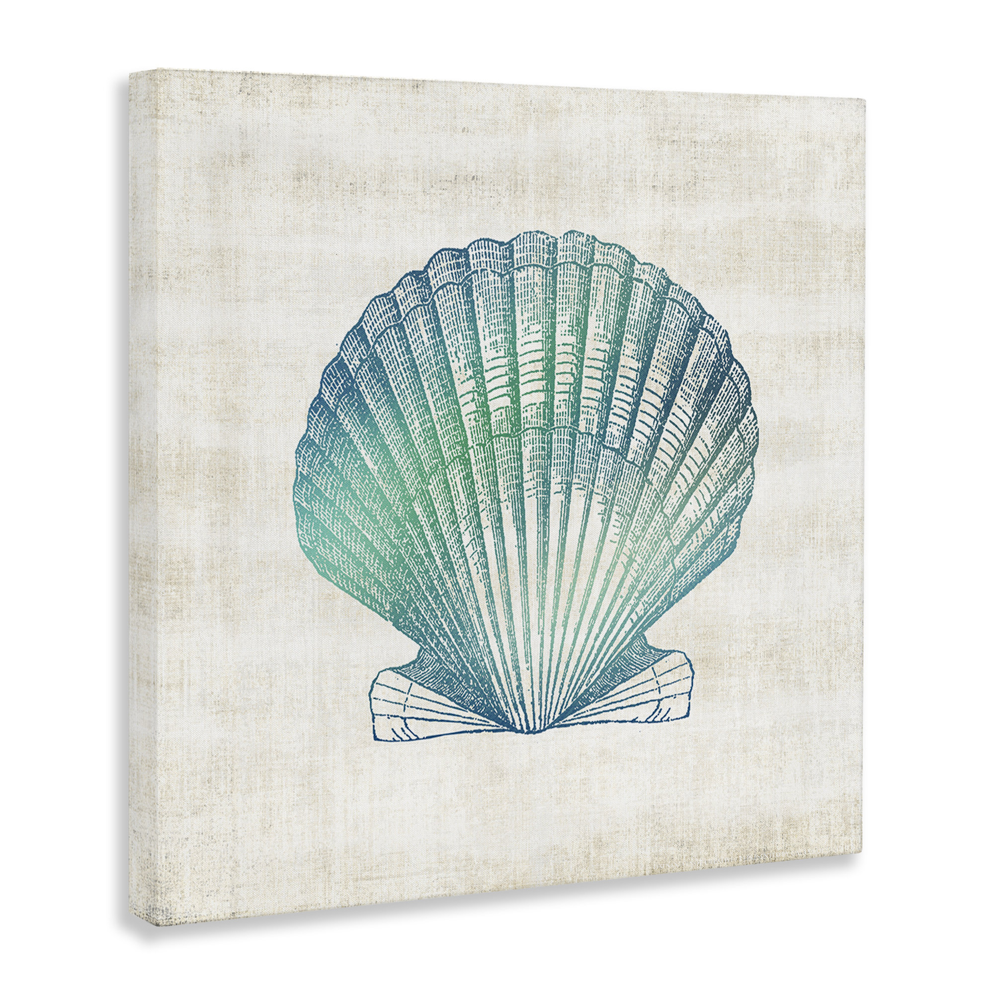 Ebern Designs Gradient Clam Seashell Canvas, design by Susan Arnot ...