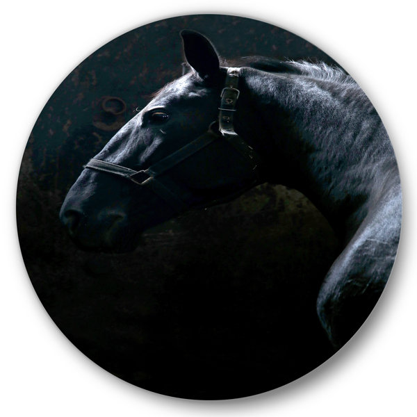 East Urban Home " Portrait Of Thoroughbred Nonius Stallion Horse II ...