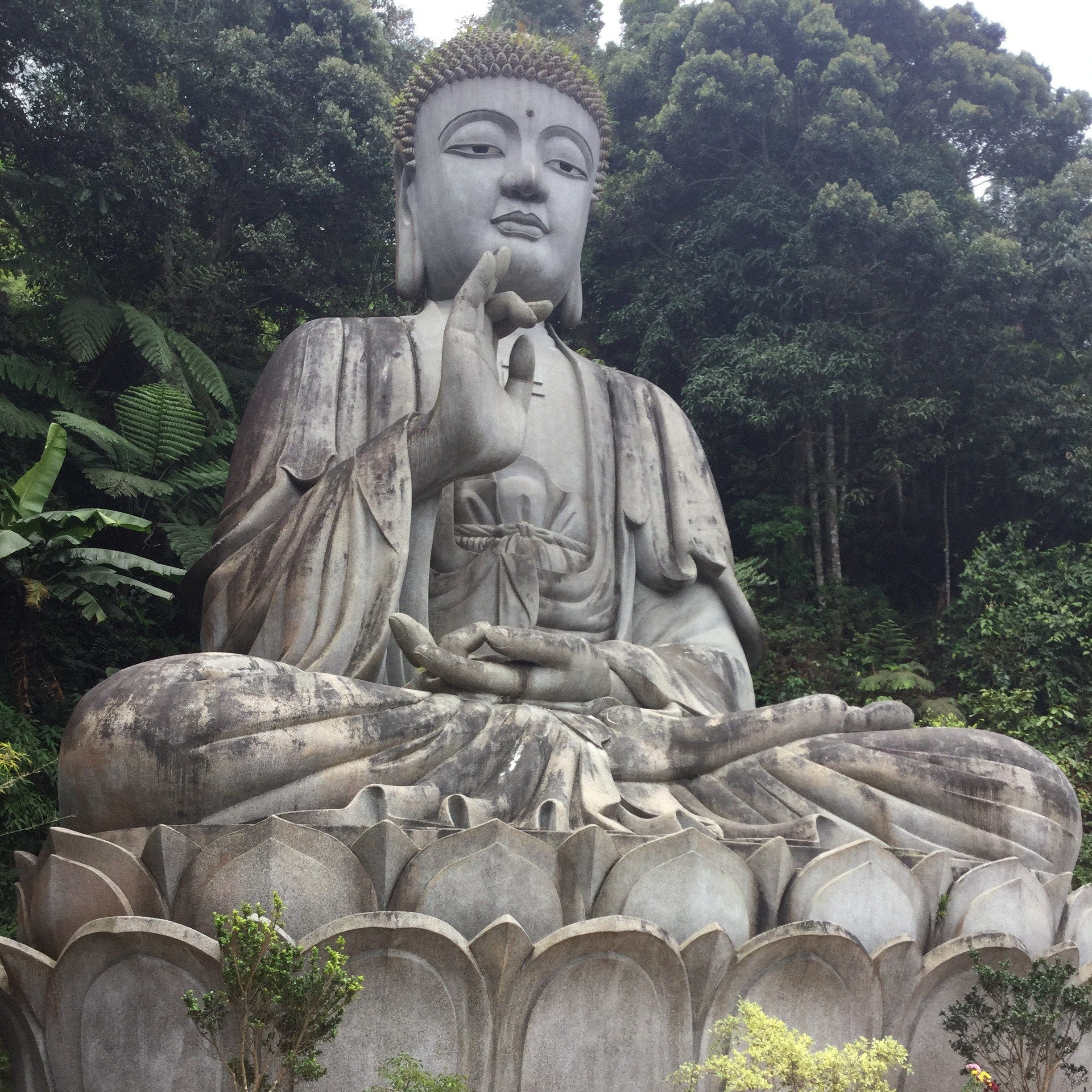 Ebern Designs Mergita Buddha In Genthings Highland At Chen Sui Temple ...