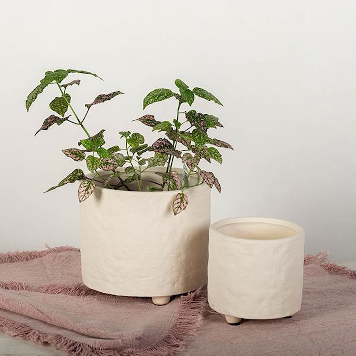 Gracie Oaks Marnetta 2-Piece Cement Cachepot Set | Wayfair