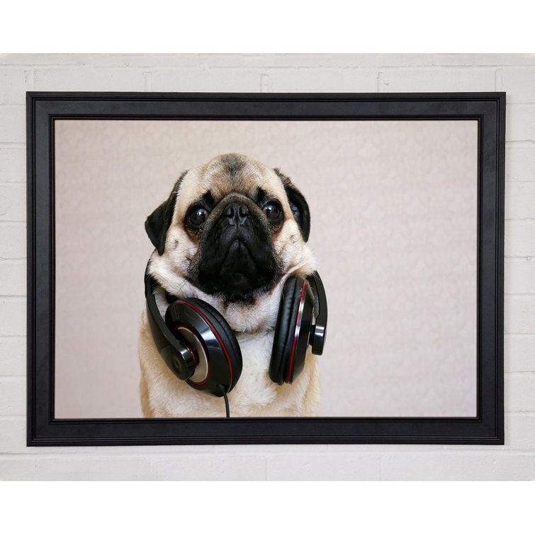 Ebern Designs Cool Pug Wearing Headphones - Single Picture Frame Art ...
