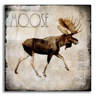 Epic Art 'Moose Lodge 2' By Lightbox Journal, Acry " Moose Lodge 2 " by ...