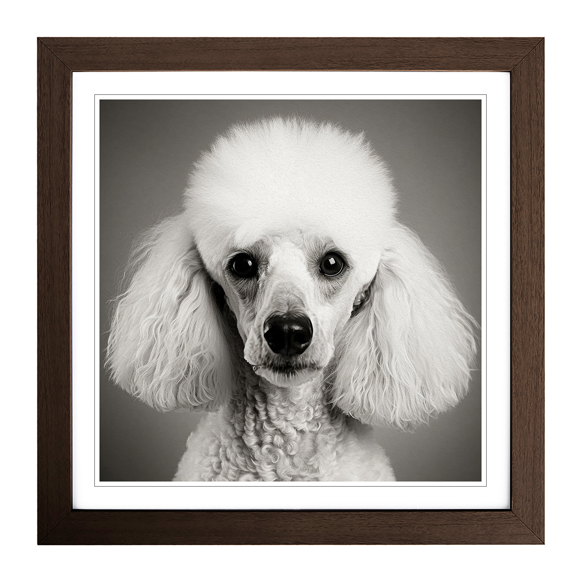 17 Stories Poodle No.1 - Print | Wayfair.co.uk