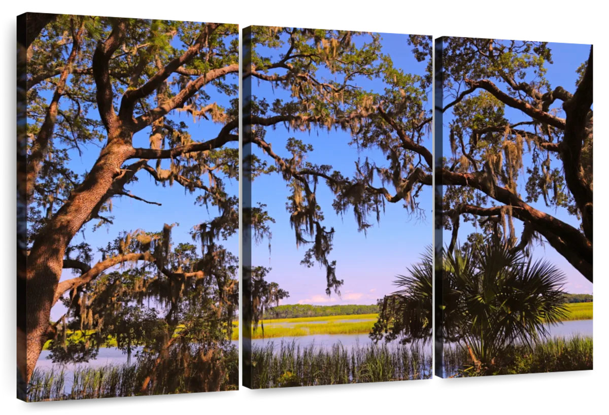 Lark Manor Harnek Lowcountry Marsh Oak Trees - Wayfair Canada