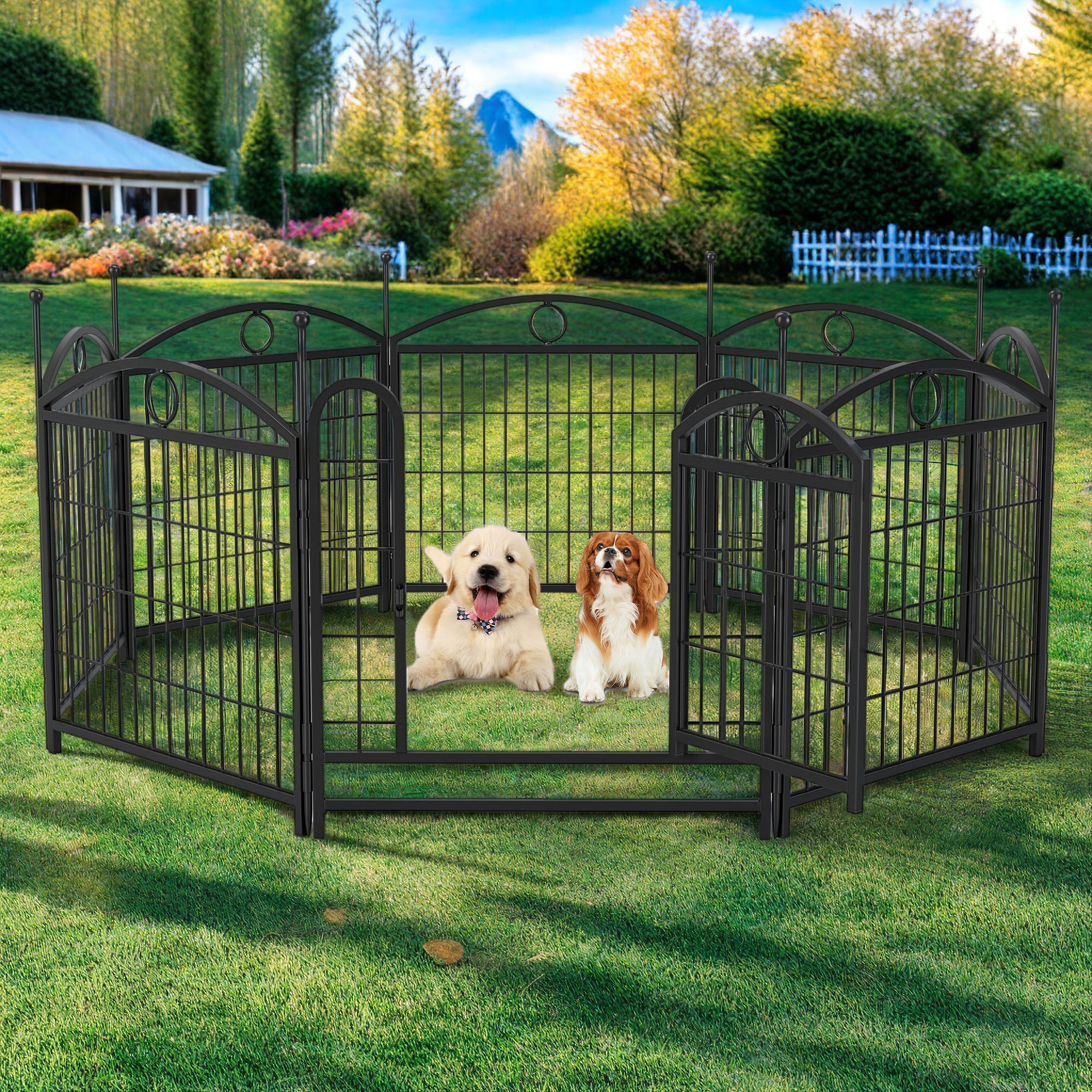 FAR AND NEAR Dog Playpen Indoor 24 Inch 8 Panels Metal Dog Pen Pet Dog ...