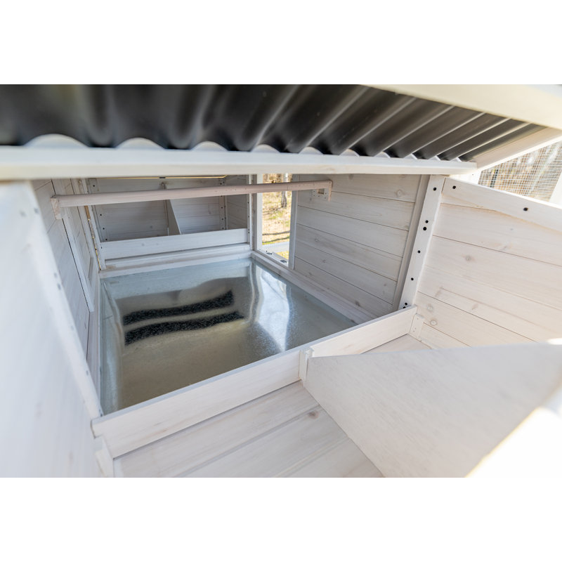 Zylina 3096 Square Feet Chicken Coop with Nesting Box & Reviews | Wayfair