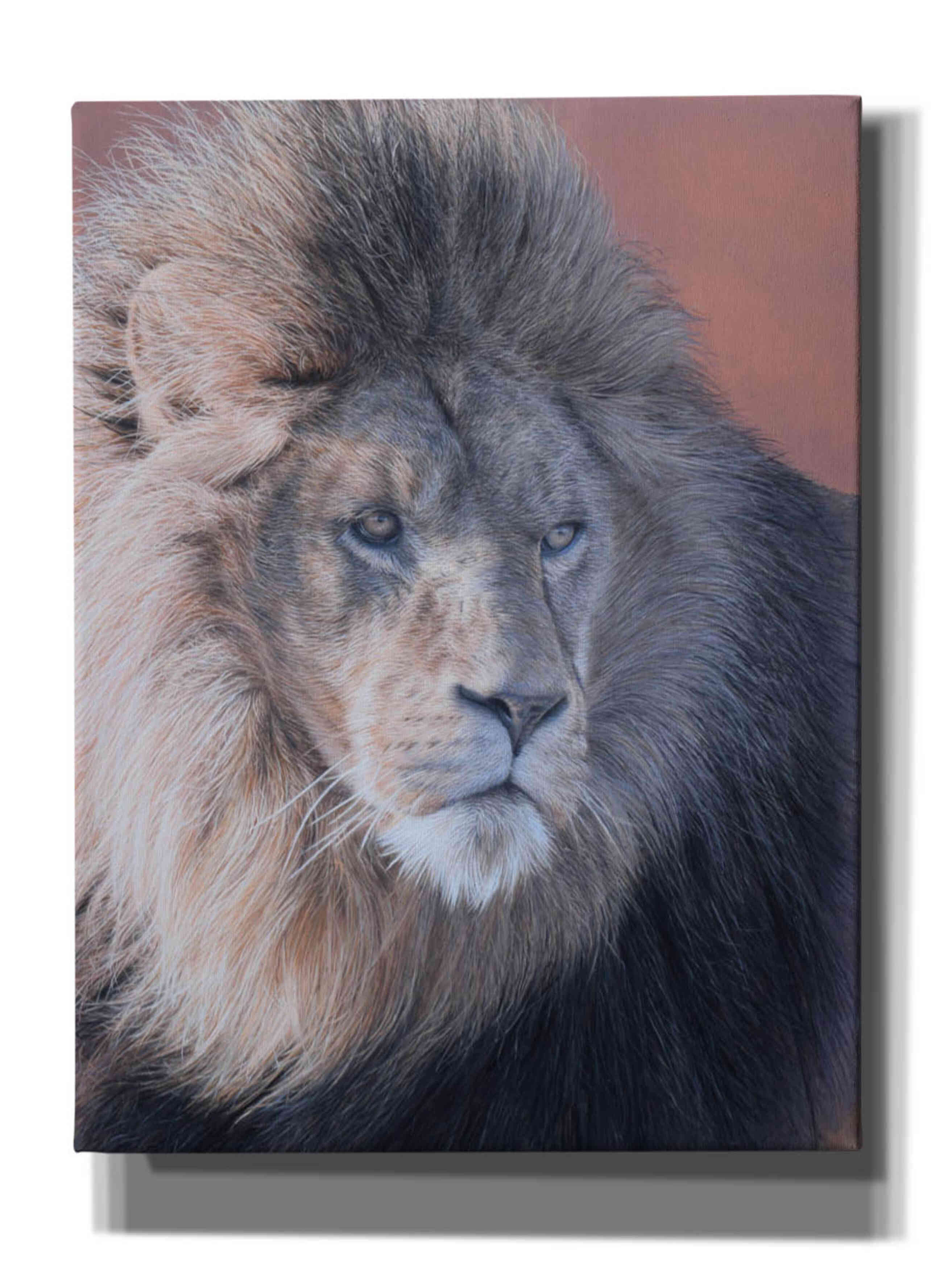 Latitude Run® 'Christian' By Sam Dolman, Canvas Wall Art - Wayfair Canada