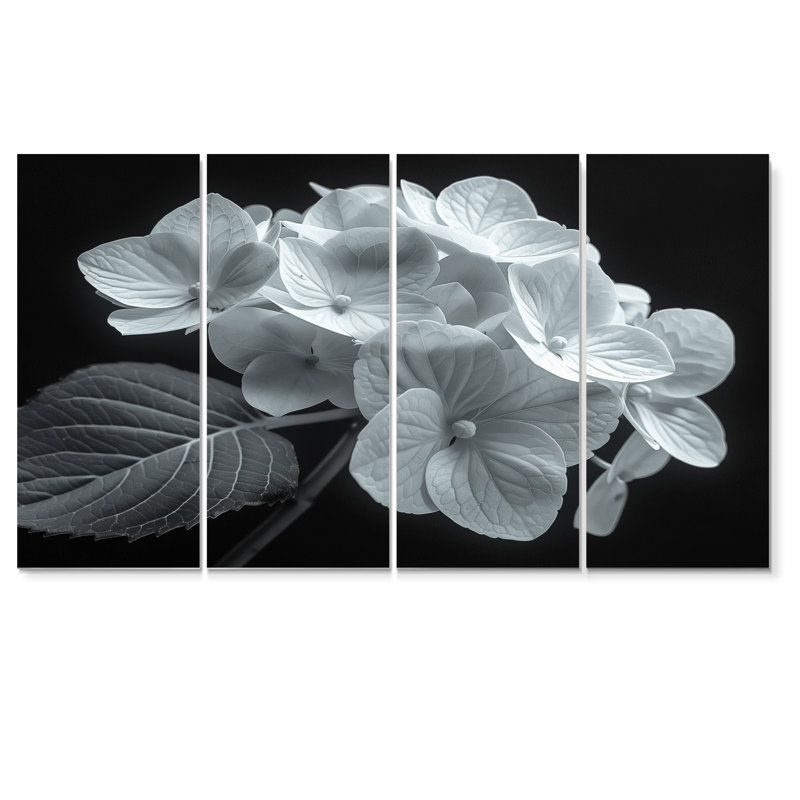 hydrangea silhouette