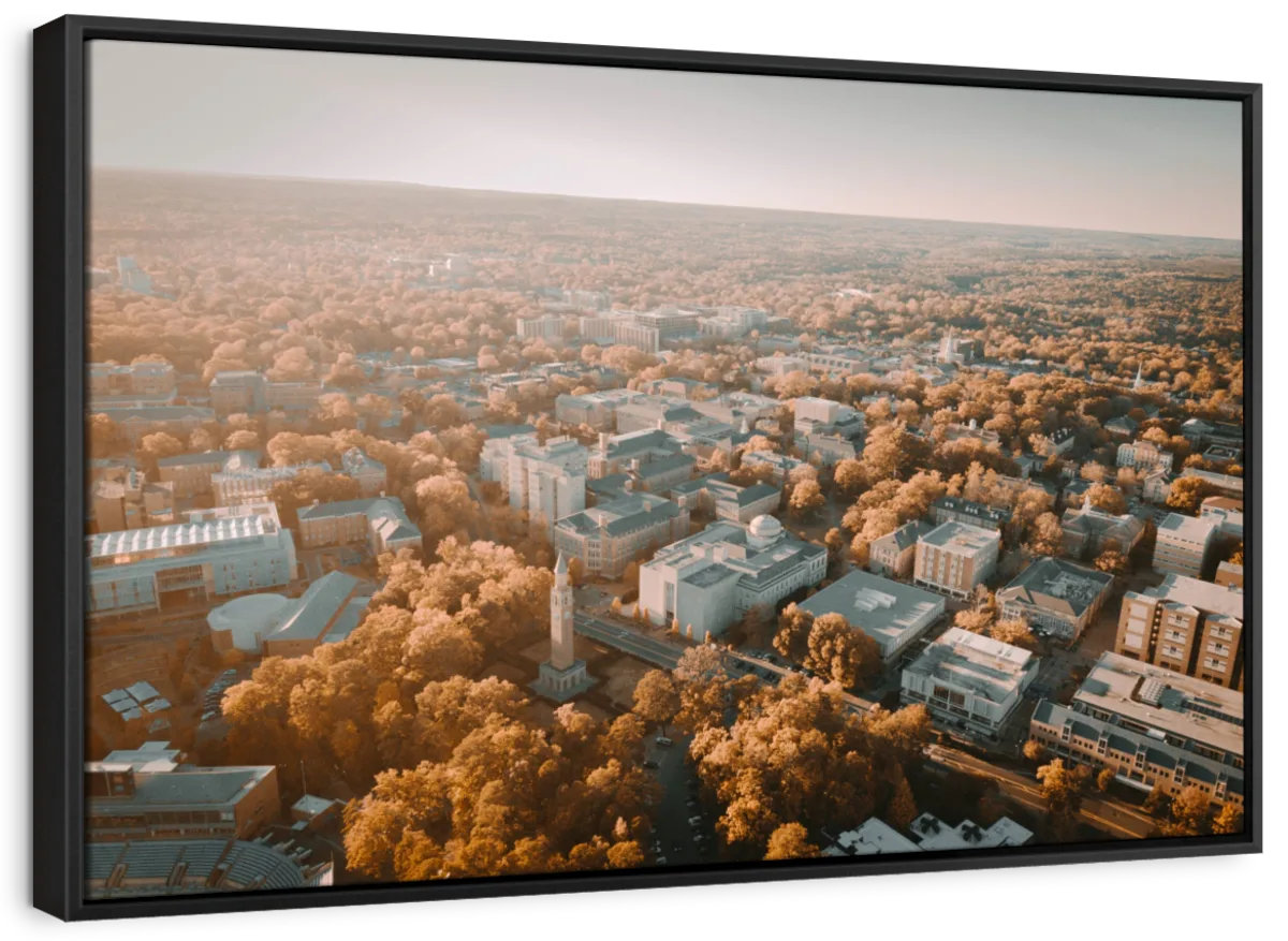 Ebern Designs UNC Campus Aerial View Canvas Print | Wayfair