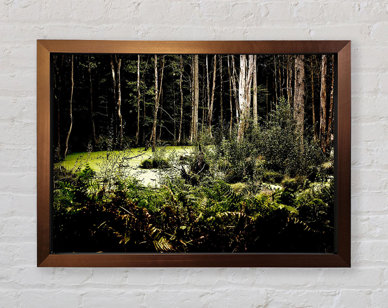 Union Rustic Swamp In The Depth Of The Forest - Single Picture Frame ...
