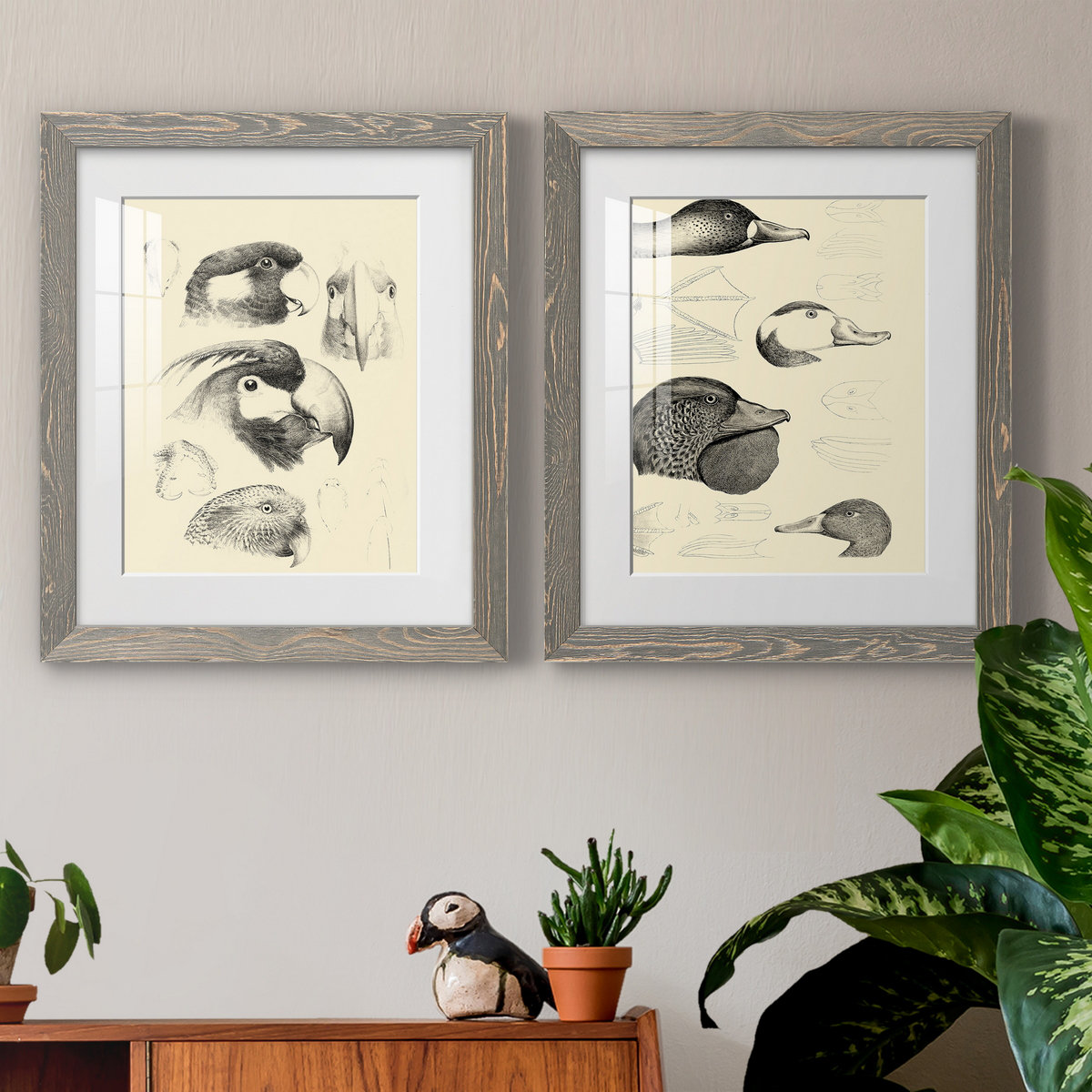Bay Isle Home™ Waterbird Sketchbook III - 2 Piece Picture Frame Drawing ...