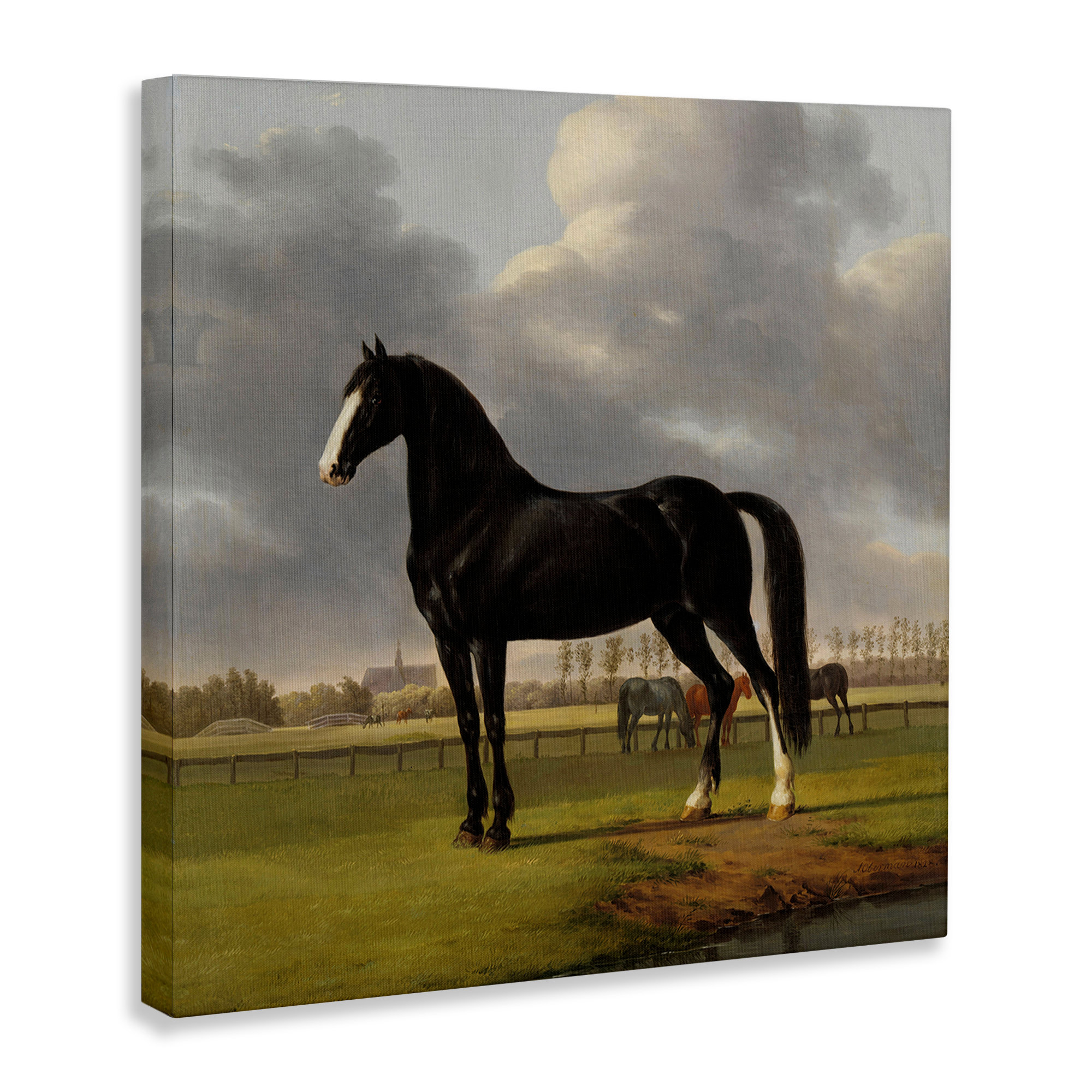 Charlton Home Classic Black Stallion Canvas Wall Art by Anthony Oberman ...