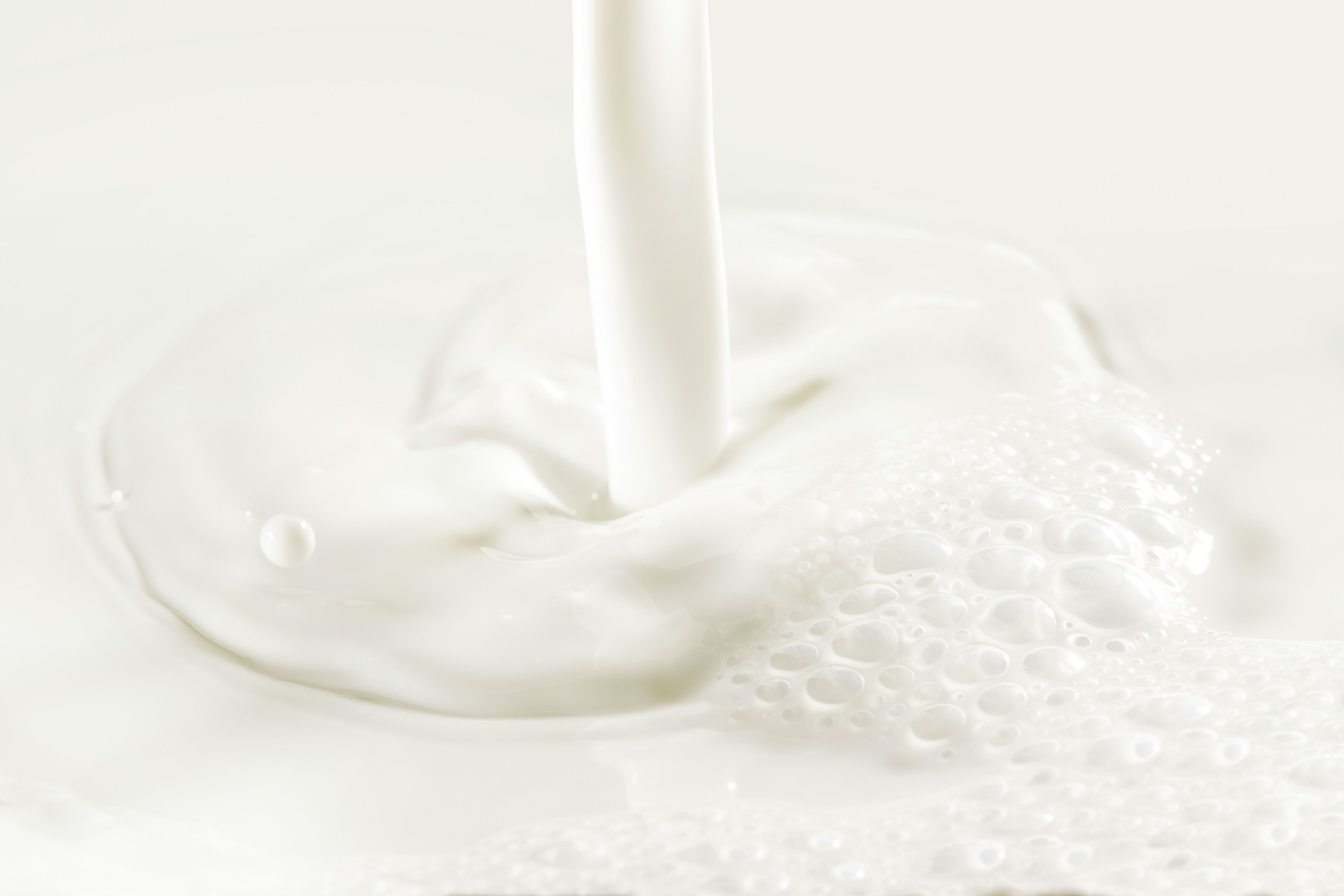 Wrought Studio " Close Up Milk " | Wayfair