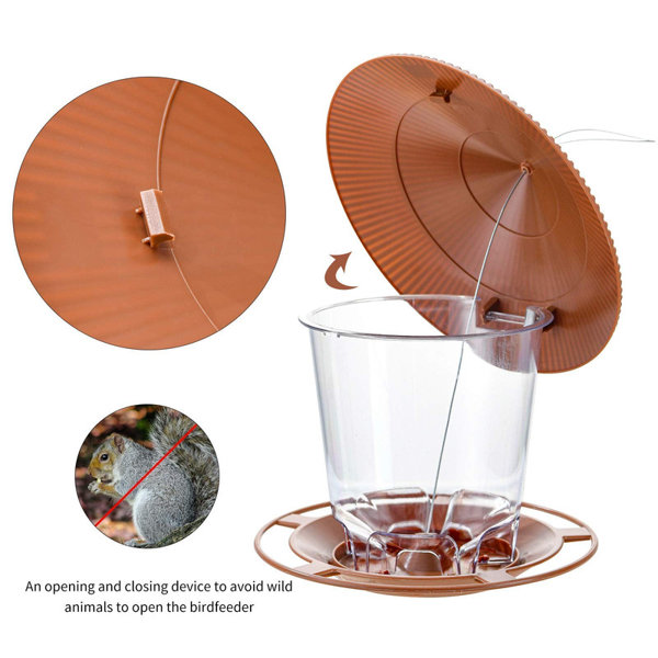 Archie & Oscar™ Hanging Bird Feeder Squirrel Proof for Outdoor Wild ...