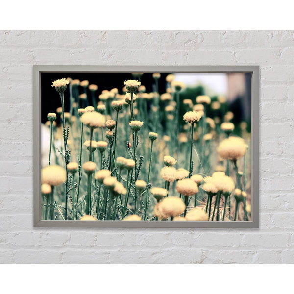 Rosalind Wheeler Poppy Stalks - Single Picture Frame Print on Canvas ...