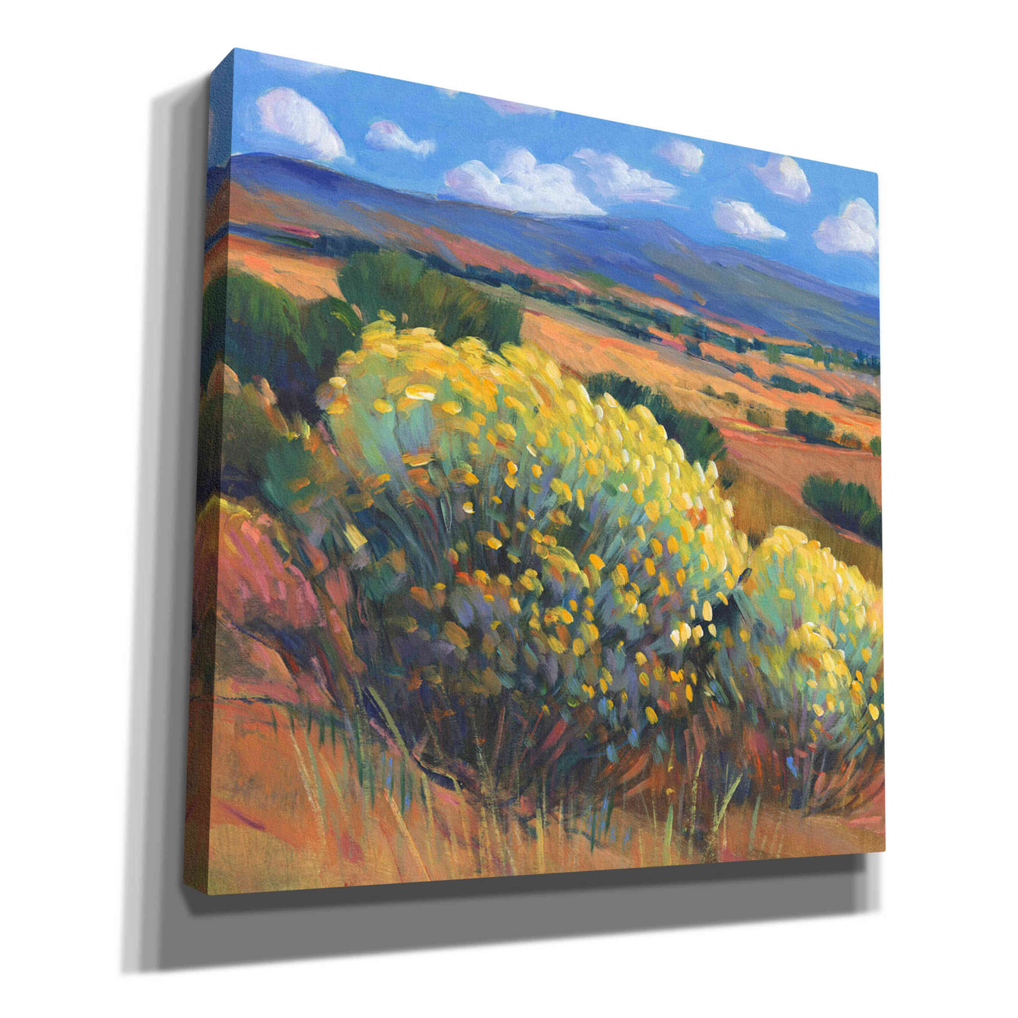 Loon Peak® Chamisa I' By Tim O'toole, Canvas Wall Art | Wayfair