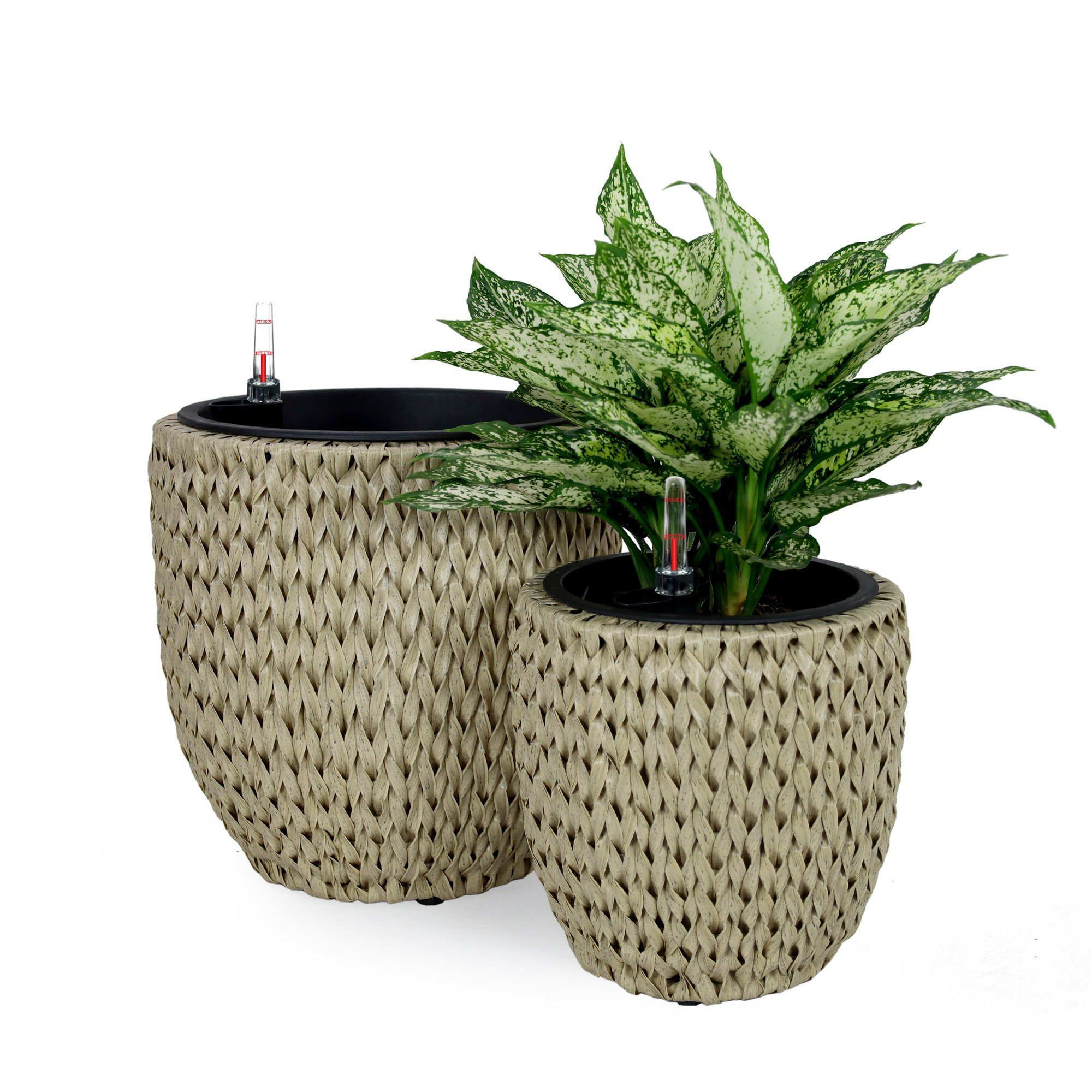 Bay Isle Home™ Adriyel Pot Planter | Wayfair