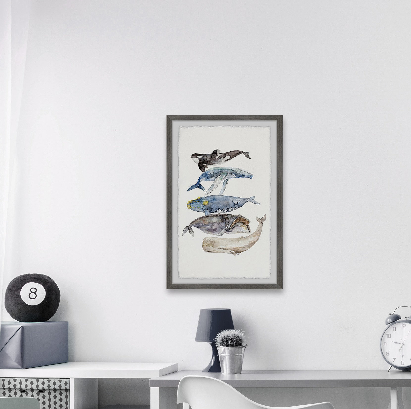 Harriet Bee Hartshorne Whale Species Framed Print - Wayfair Canada