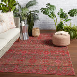 Red Outdoor Rugs | Wayfair