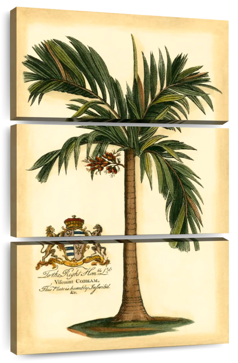 Lark Manor Harnek British Colonial Palm I - Wayfair Canada