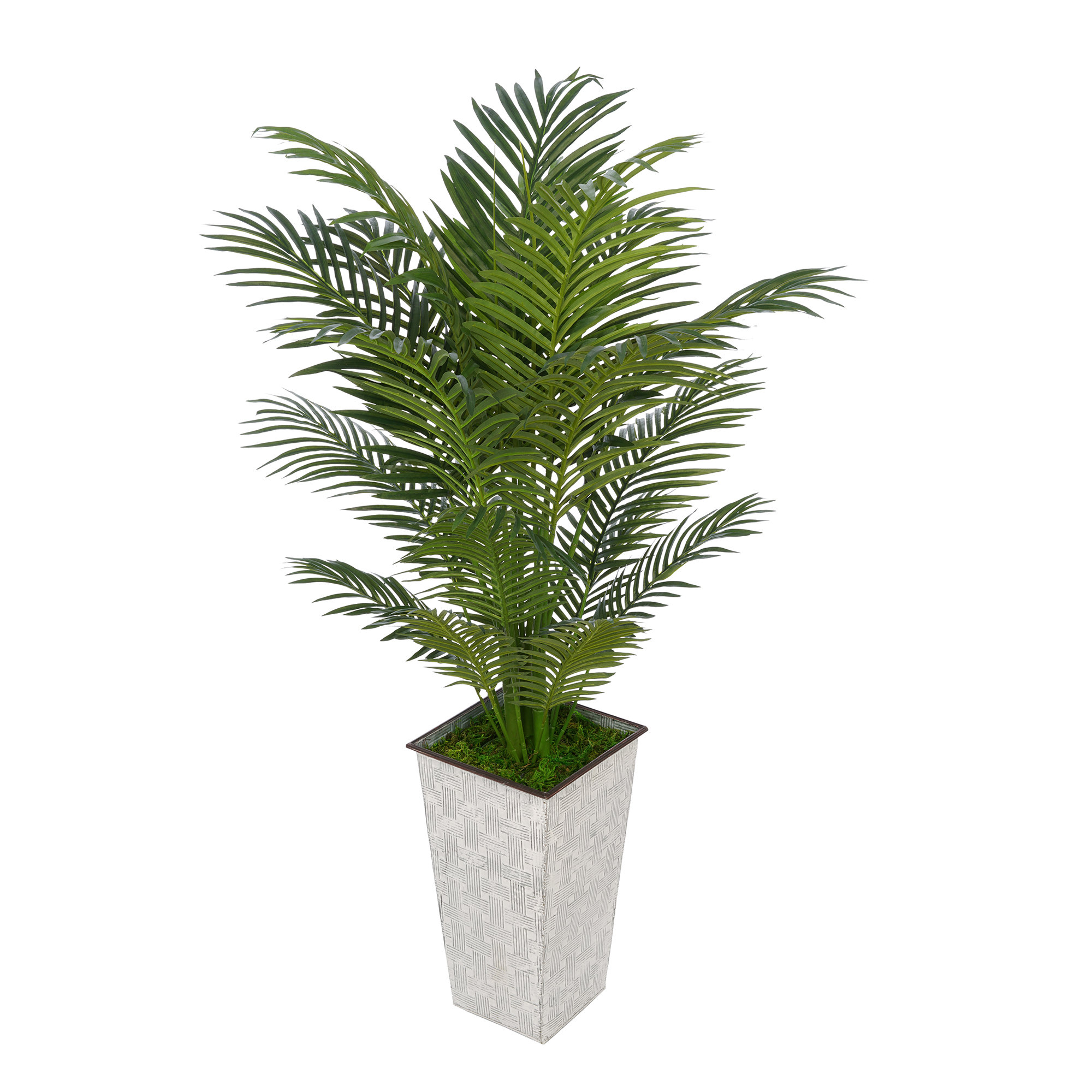 Bay Isle Home 54'' Faux Palm Tree in Metal Vase - Wayfair Canada
