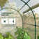Dakota Fields Breylin 15 Ft W x 15 Ft D Greenhouse | Wayfair.co.uk